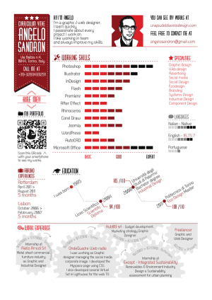 What is an Infographic Resume?